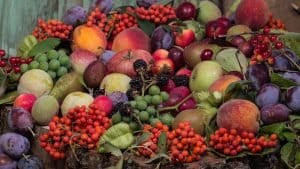 Mabon - The Pagan Celebration of the Autumn Equinox (History ...